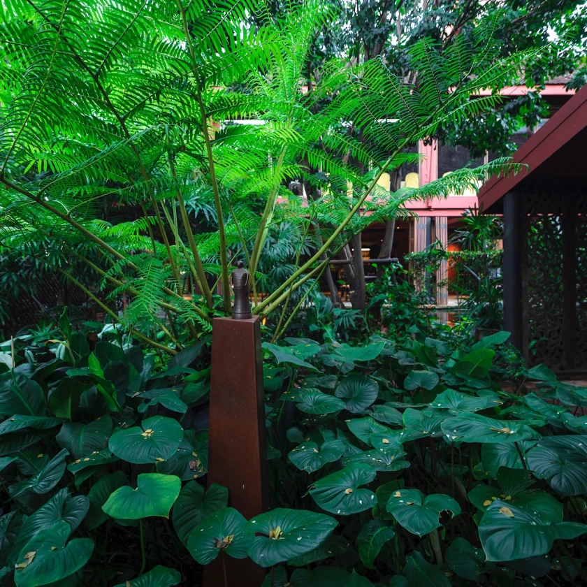 FUTURE TENSE | Jim Thompson Art Center